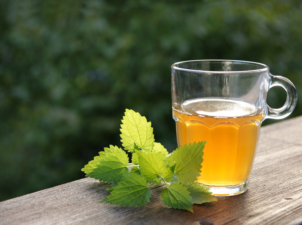 Buy Stinging Nettle Leaf Tea: benefits, How to Make, Side effects ...